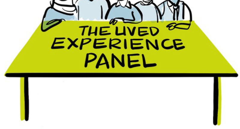 The Lived Experience Panel – initial reflections and tips for Patient ...